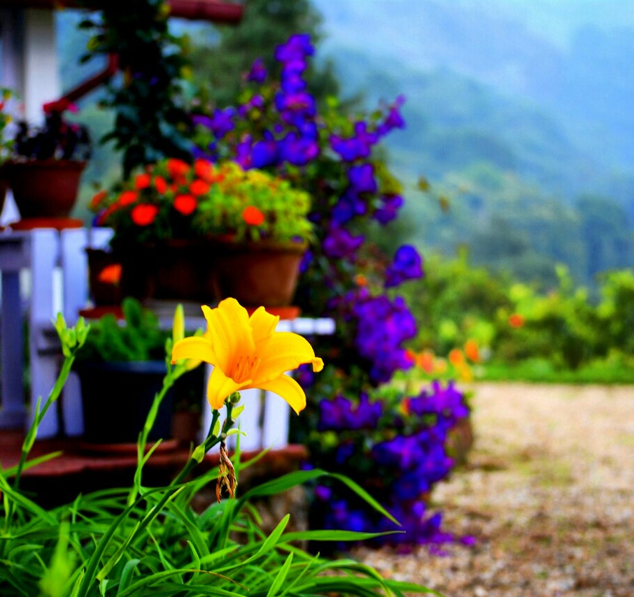 5 Activities Perfect for the Summer